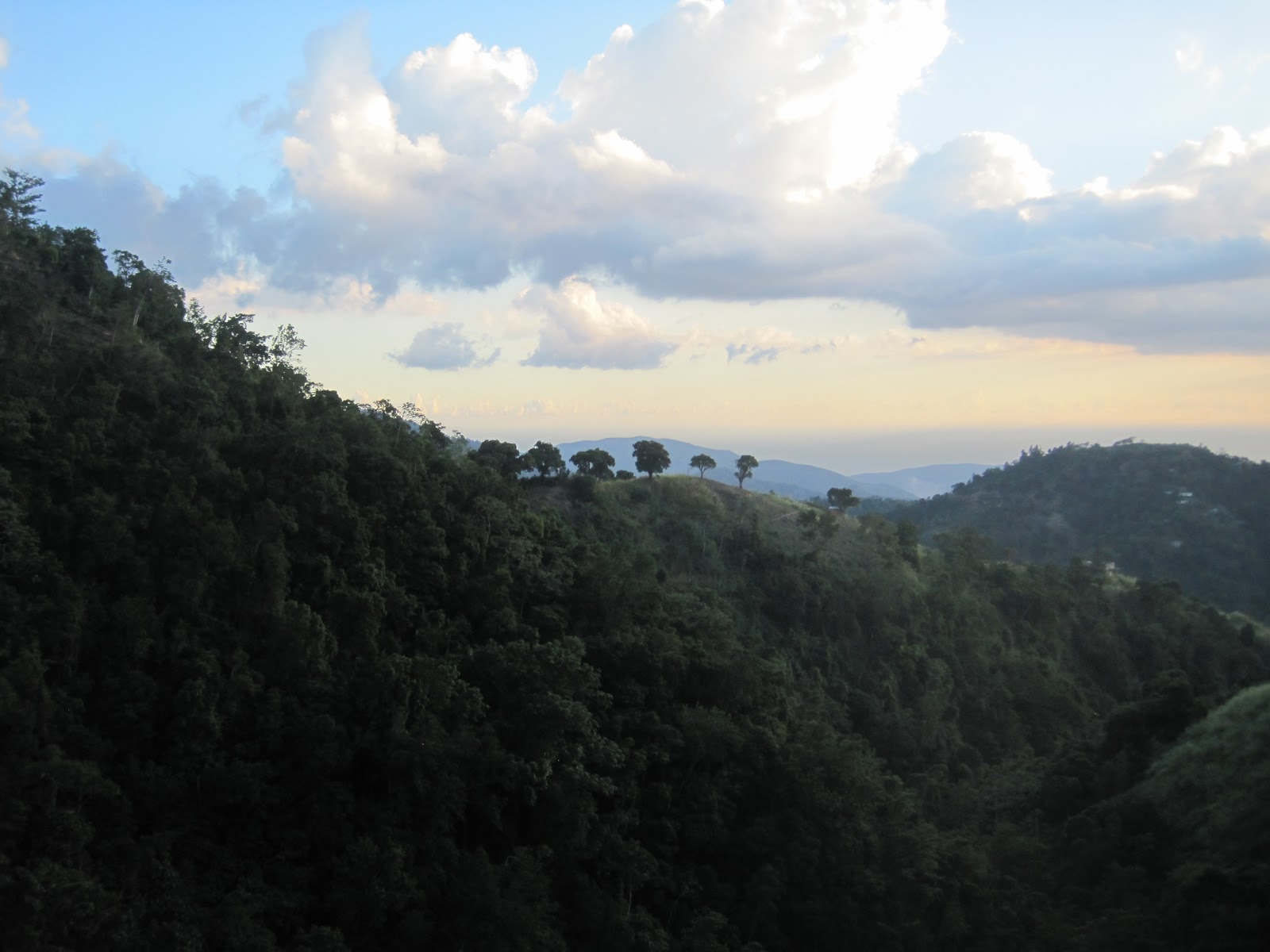 School of Vision: Rasta Camp in the Blue Mountains!