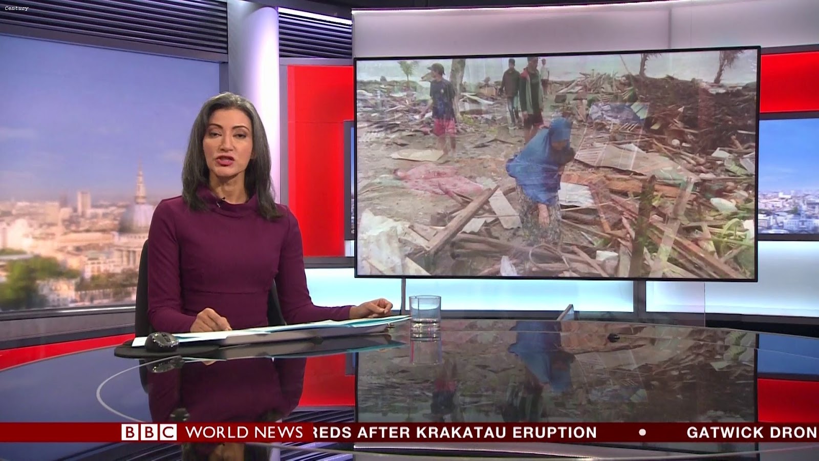 Sharanjit Leyl - 23 Dec 18 - BBC World News (I)