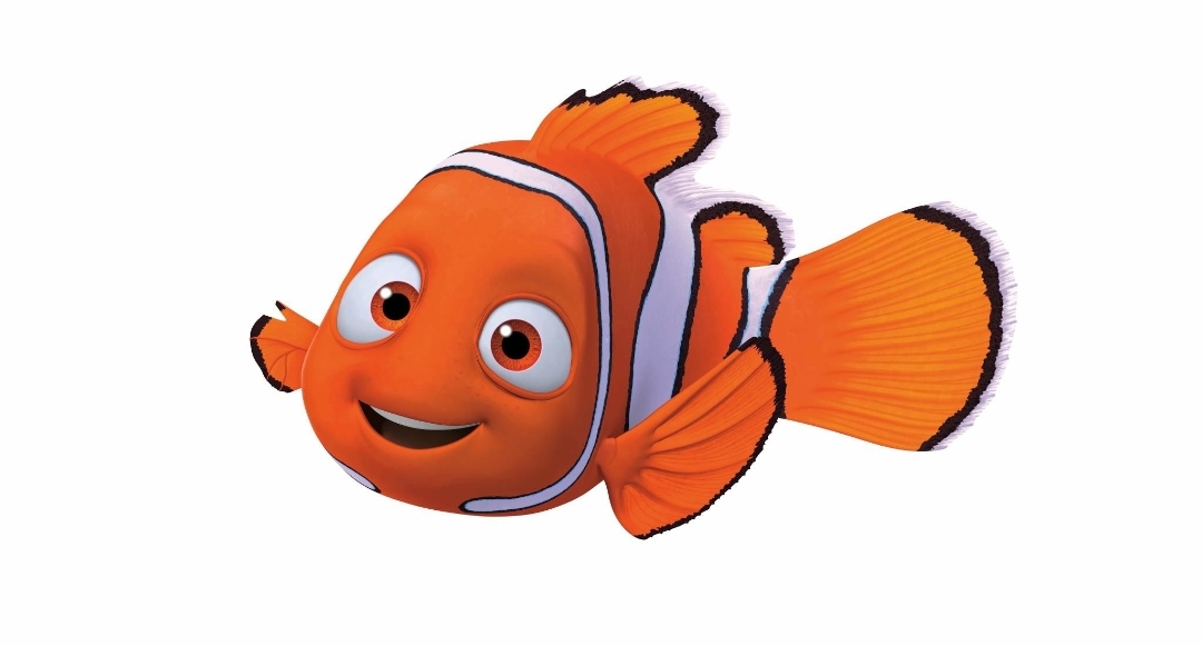 Nemo e o conceito "Continue a nadar"