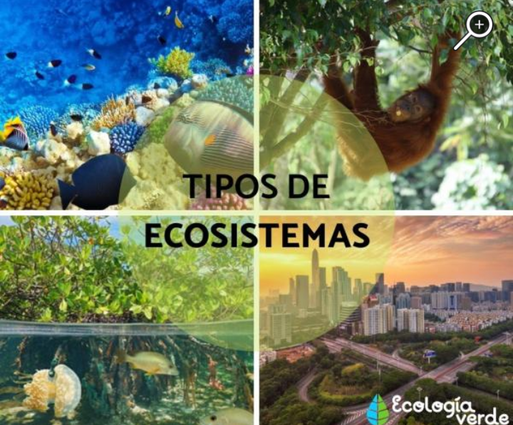 Tipos de ecosistemas