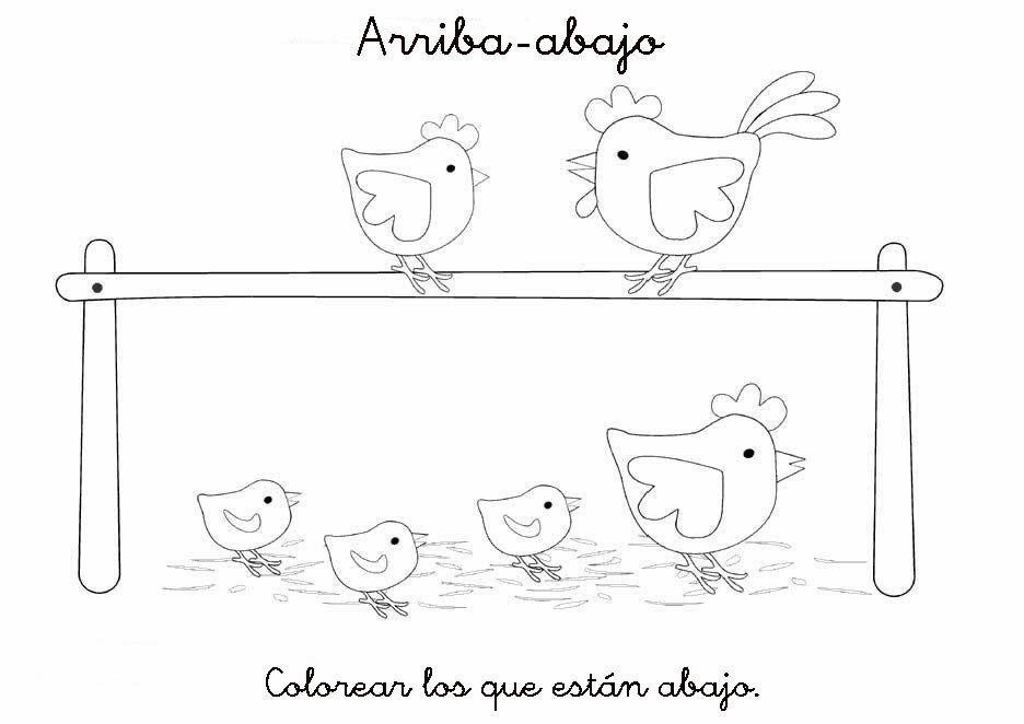 Conceptos espaciales: arriba-abajo | Sentir, Descubrir y Aprender