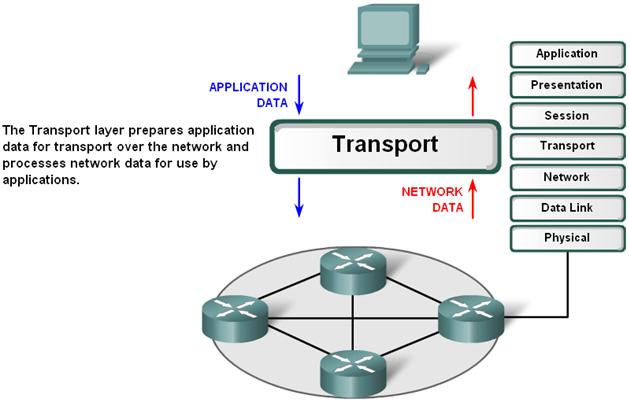 macan guling: Cisco Fundamental : Transport Layer