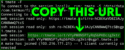 Termux Tmate : Access Termux Remotely In Any Browser