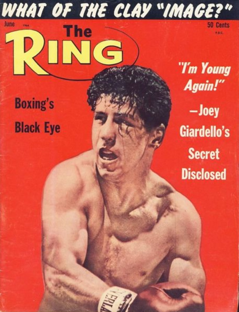 THE CHAMPION BOXERS: 1963 BOXING HISTORY: upsets, tragedy and magic ...