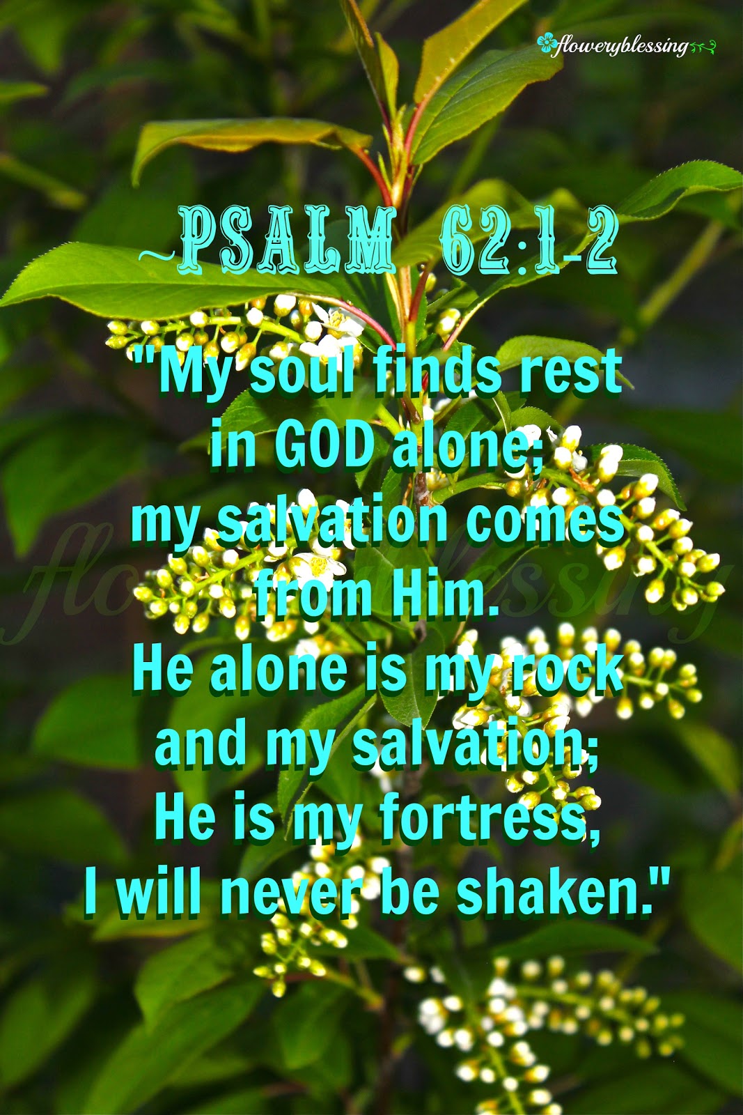 Flowery Blessing: "'My soul finds rest in GOD alone; my salvation comes ...