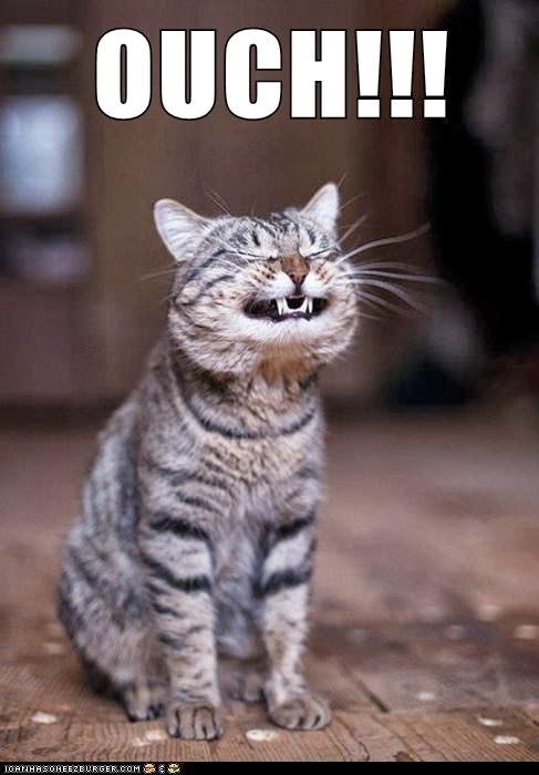 Honda- took 20 power shots to the head. Landed 0. | Page 2 | Sherdog ...