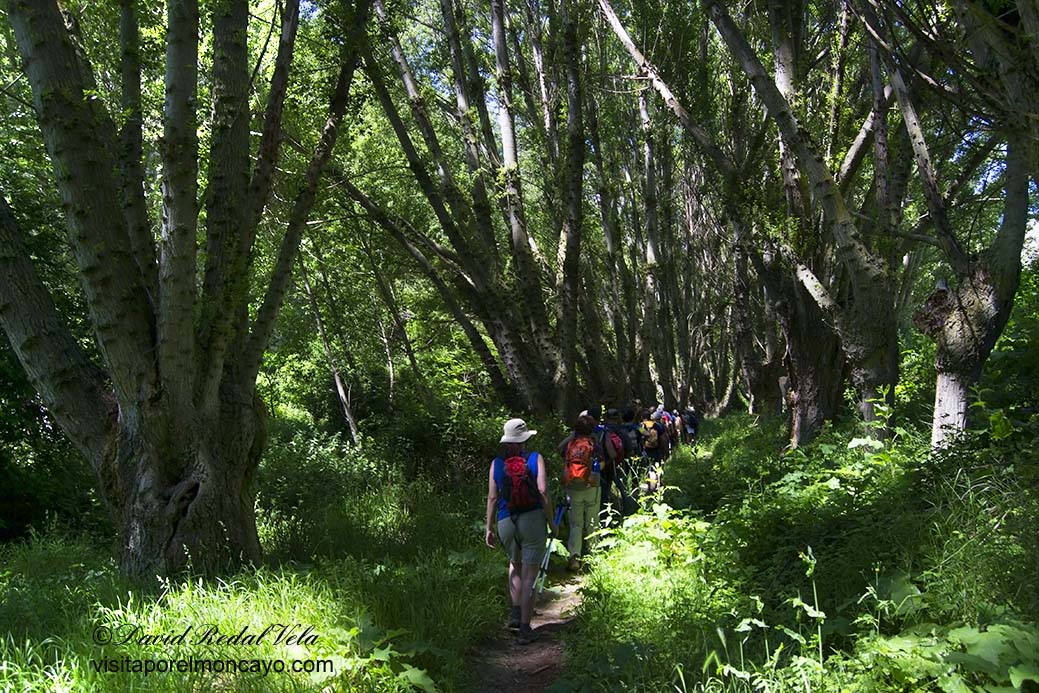 Visita por el Moncayo: Cañón del río Val