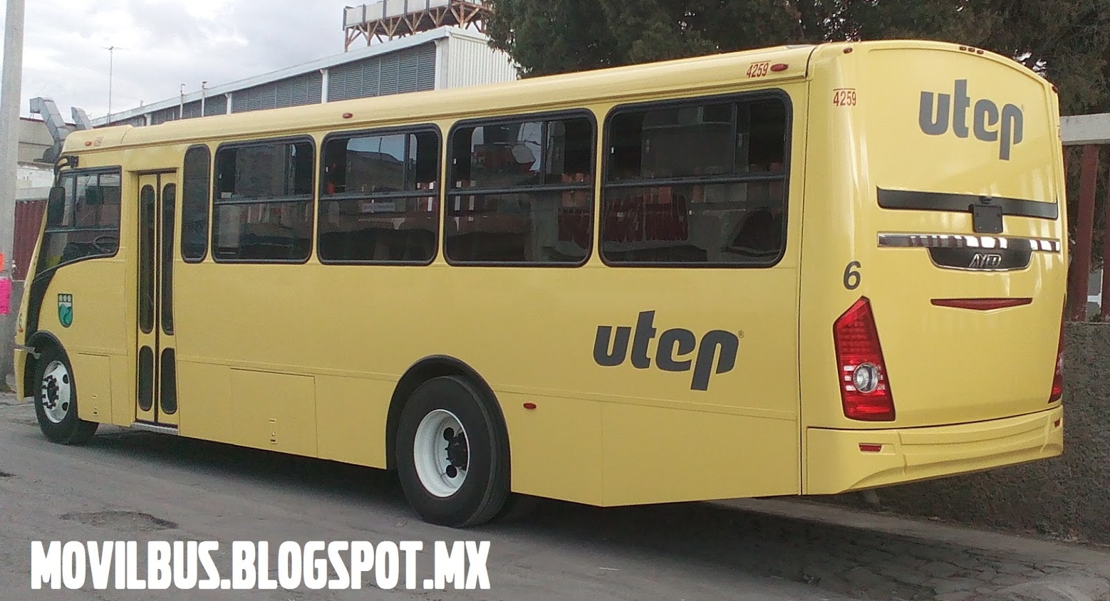 AYCO ZAFIRO EN LAS FILAS DE UTEP