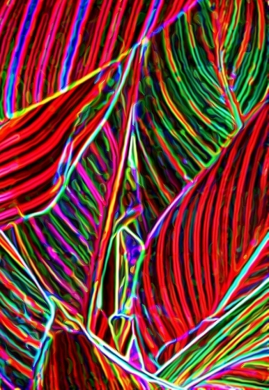 Roswila's Dream & Poetry Realm: LOVE LINES (photomorph) & HEAVEN ...