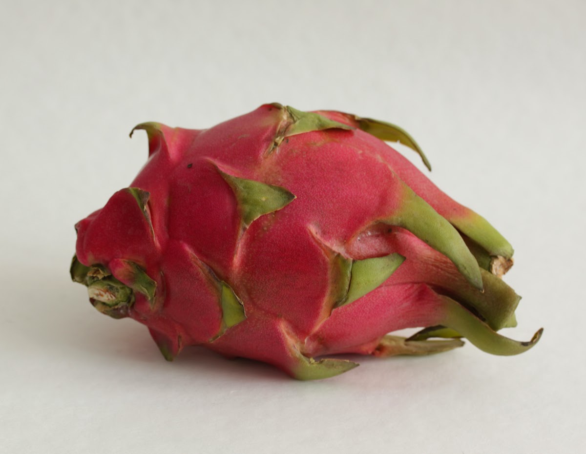 Cuisine sans frontière: Le Pitaya