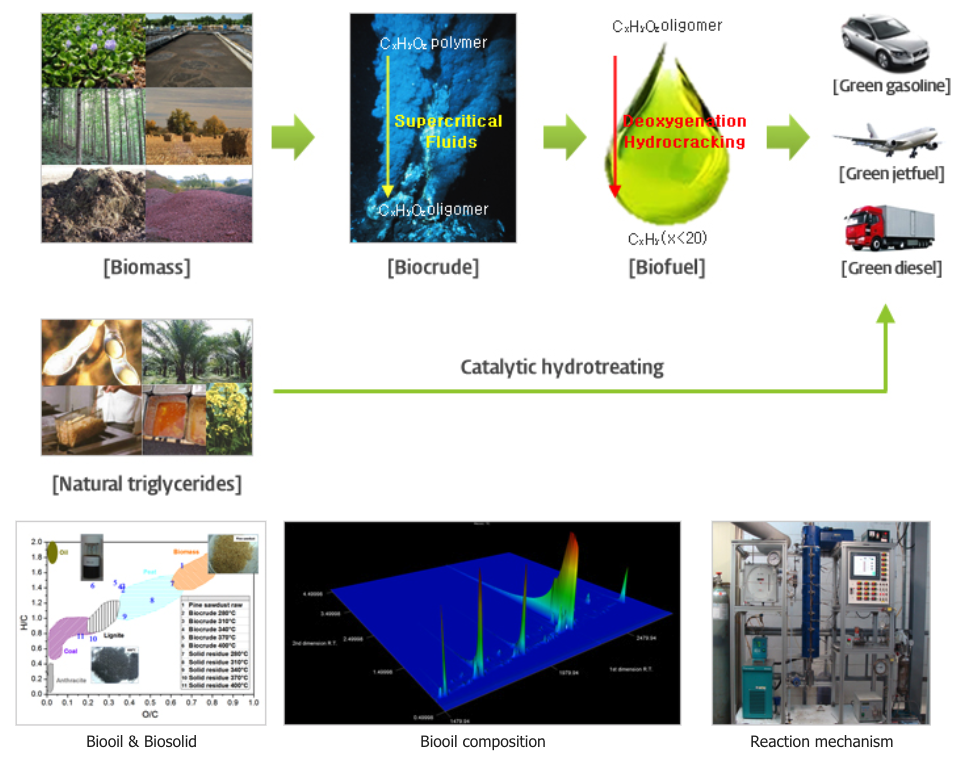 Bio Oil Conversion - gemp skku