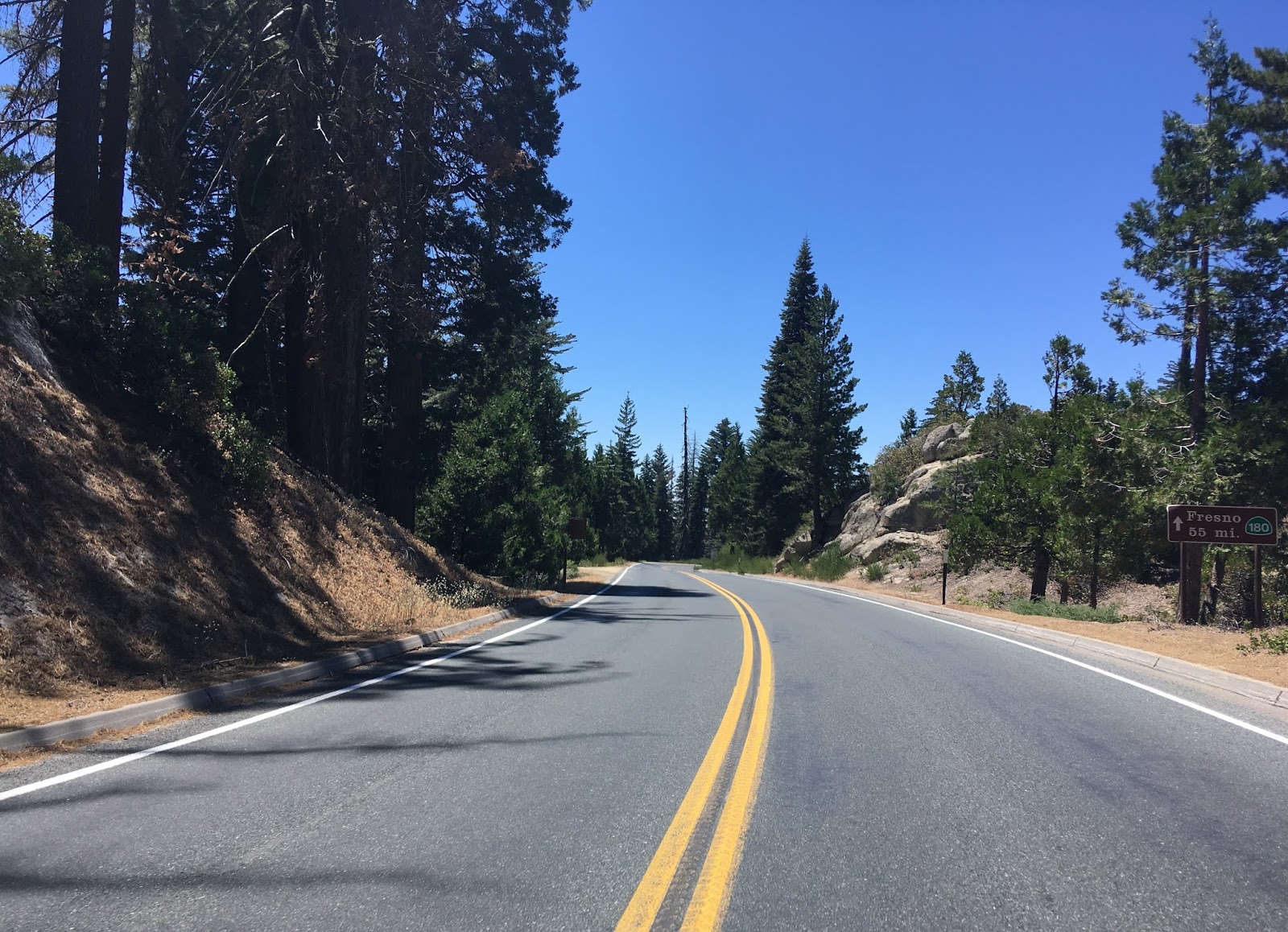 California's Rogue Sign State Route Shields