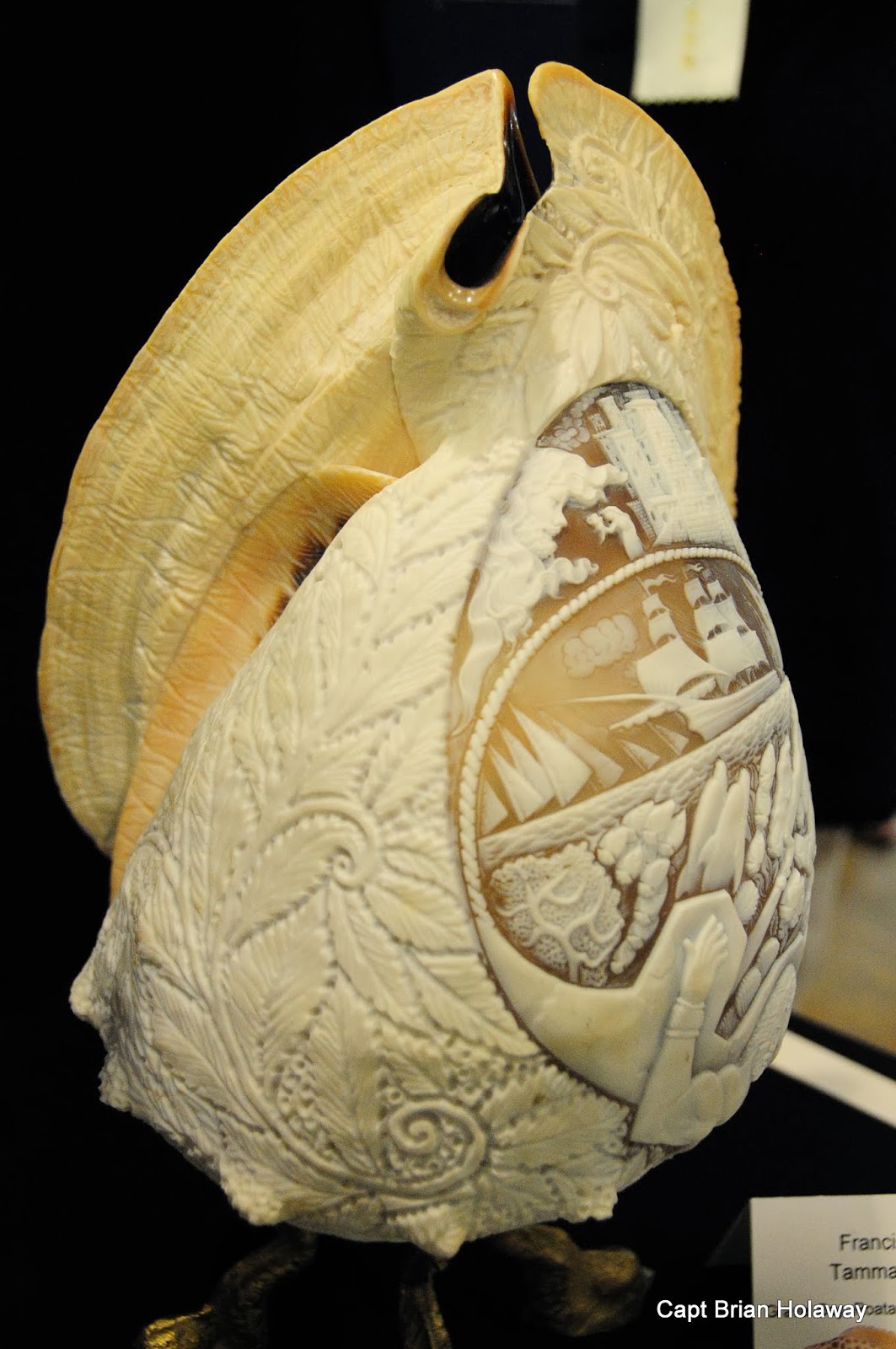 Capt. Brian's Observations On The Water: Shell Fair Festival 2014