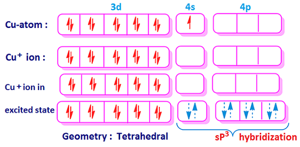 Why is Cu+ diamagnetic while Cu2+ is paramagnetic? - CHEMSOLVE.NET