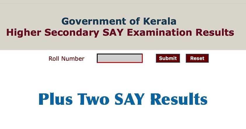 Plus Two SAY Result 2019, Kerala DHSE 2nd Year Say Results 2019
