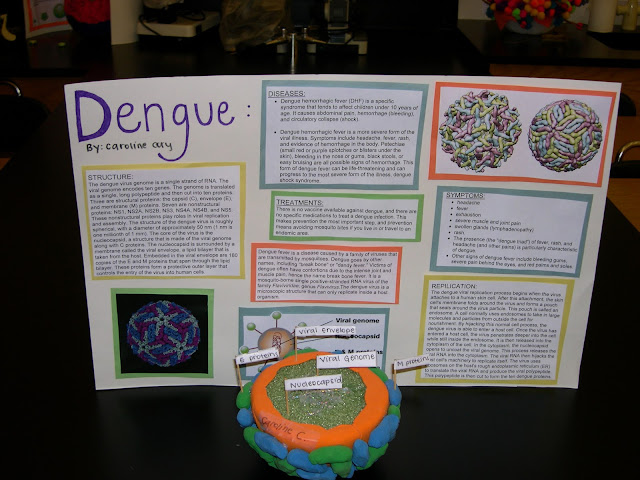 Bronxville Science Department: Honors Biology II Virus Projects