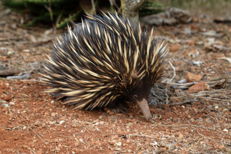 keren Mcsweeney Photography
