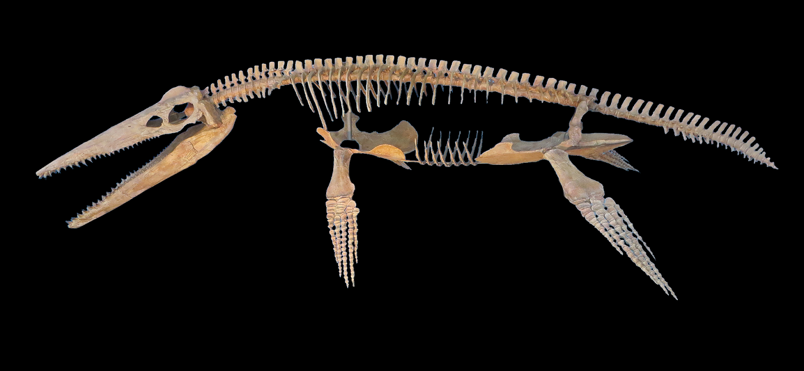 The Expeditioner's Discovery Guild: A little bit of Everything: 2016