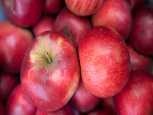 Bunatatile casei: Ionathan (Jonathan, Ionatan)