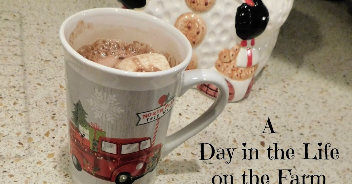 A Day in the Life on the Farm: Hot Chocolate Cookies with Chocolate ...