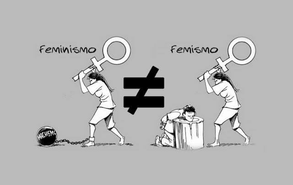 FEMINISMO E FEMISMO: