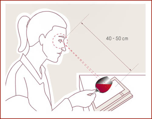 GRUPO REBOREDA MORGADIO: Manual de cata: Fase visual