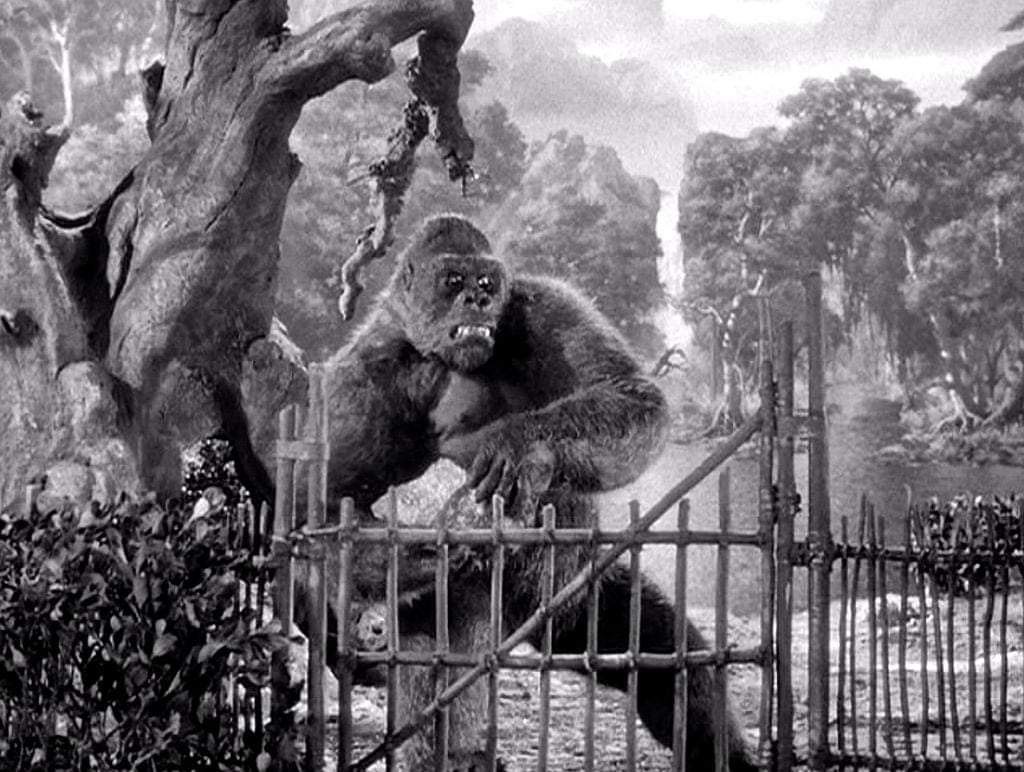 FANTCAST: ANIVERSARIO DEL NACIMIENTO DE MARCEL DELGADO