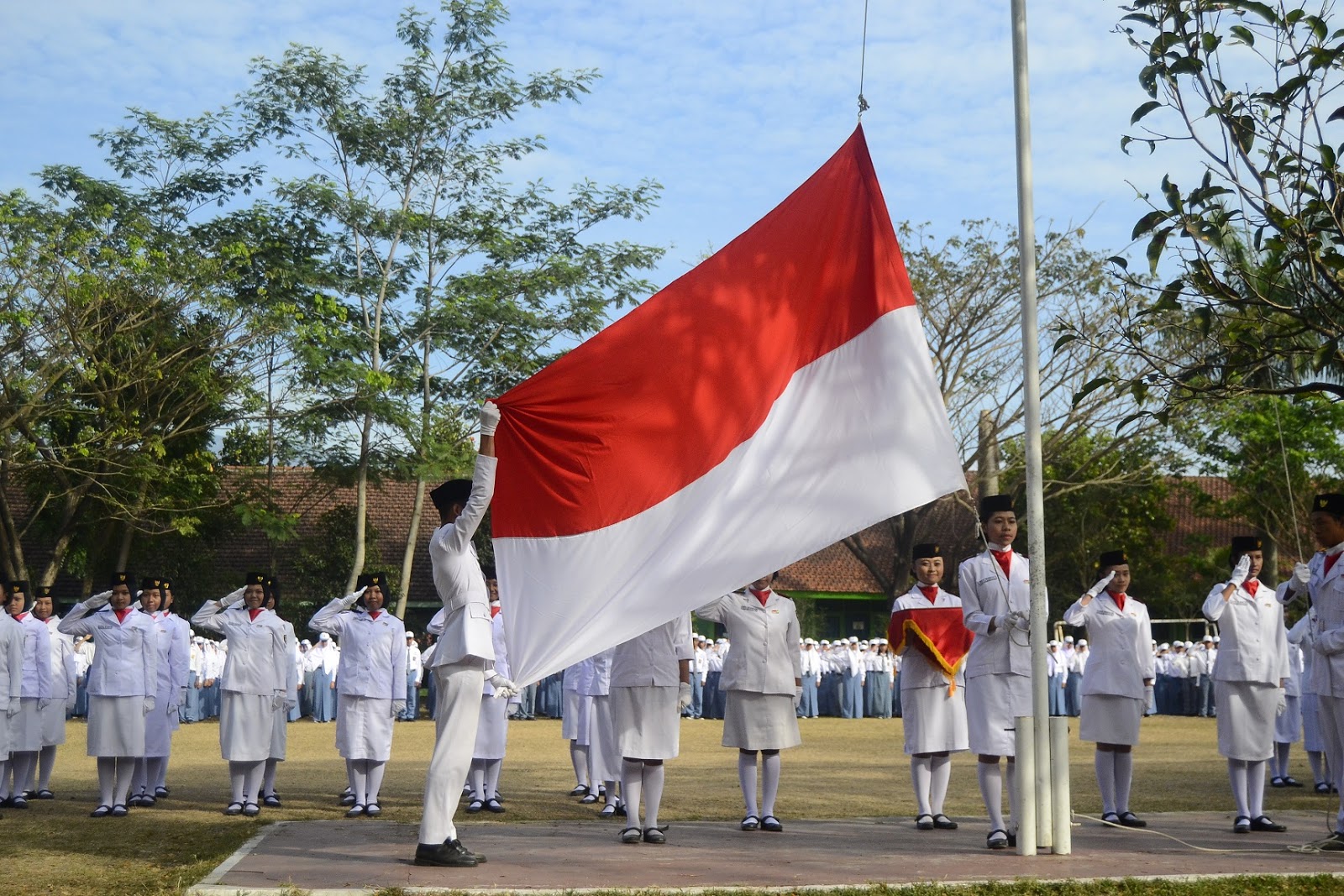 TATA CARA MELIPAT DAN MEMBENTANG BENDERA - SCOUT BOOK | Blog Materi Pramuka