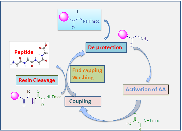 BudoChems: Solid Phase Peptide Synthesis