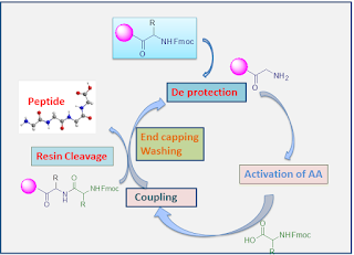 BudoChems: Solid Phase Peptide Synthesis