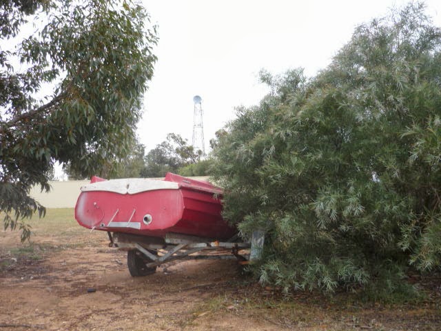 AUSSIE SKIBOATS: the POTTS FAMILY album; LIGHTBURN & CO.