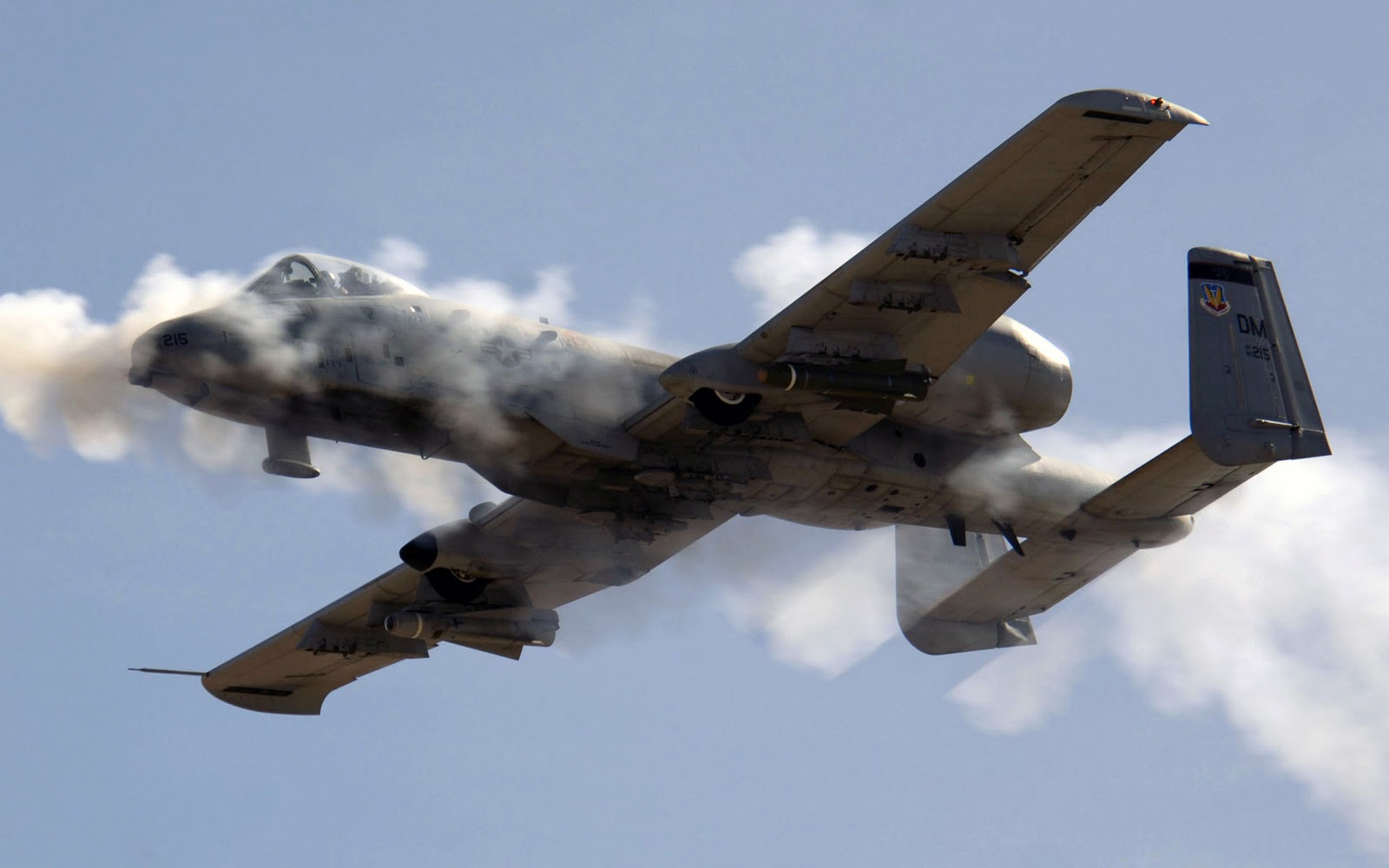 Global War Birds: A-10 Thunderbolt II