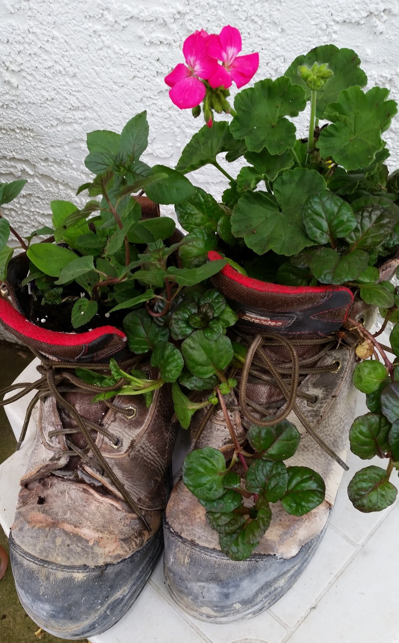In Good Company: THESE BOOTS ARE MADE FOR PLANTING