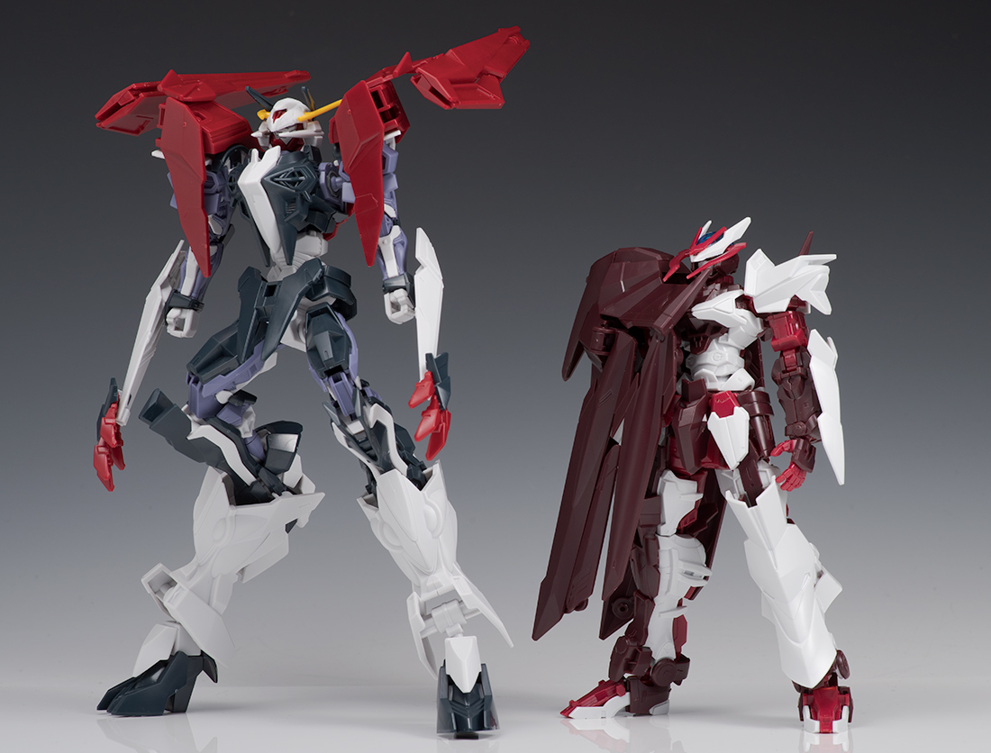 [ Review ] - HGBD:R 1/144 - Load Astray Double Rebake