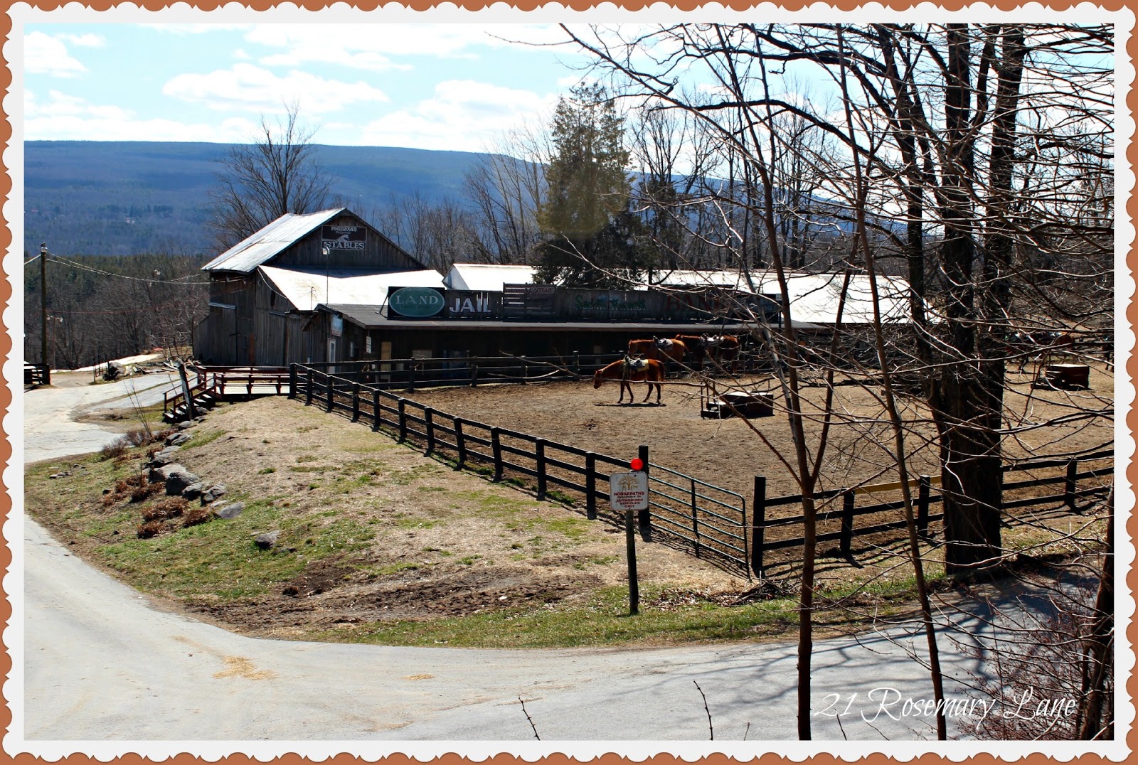 21 Rosemary Lane: Our Dude Ranch Getaway