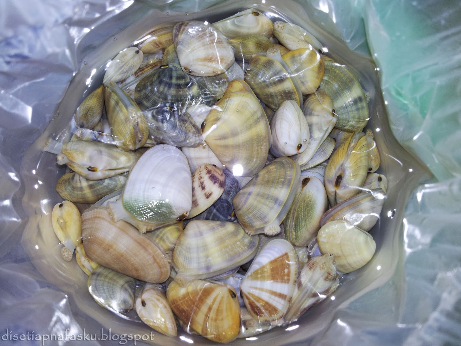 KeranaMu Ya Allah,aku masih mampu bernafas..: Siput remis sweet and sour..