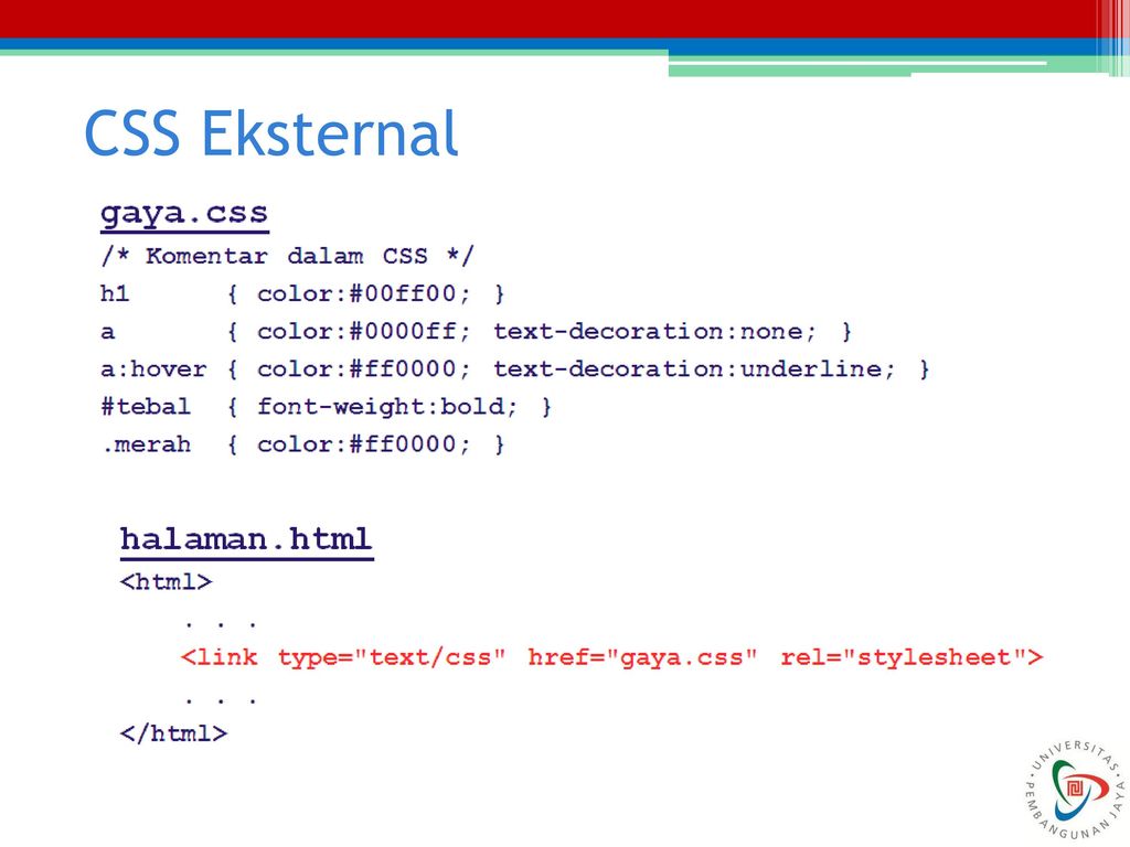Frontend Developer Vs Backend Developer Penggunaan Inline Css 9427