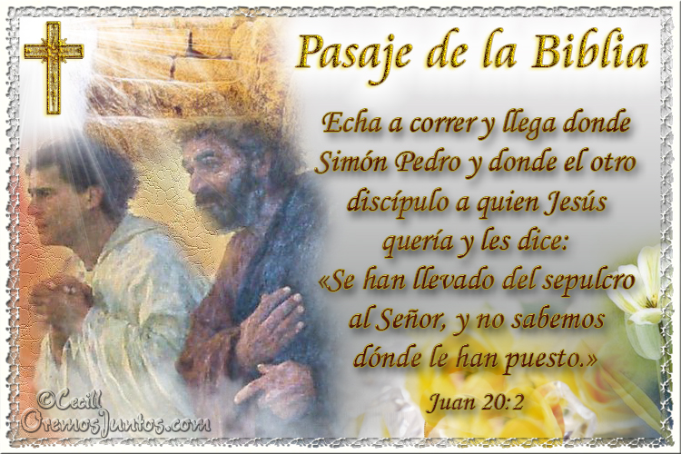 Vidas Santas: Santo Evangelio según san Juan 20:2