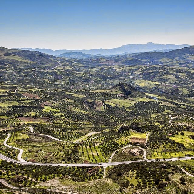 OLTRE IL MURO: ARTE e FOTOGRAFIA: MATTHIEU PALEY | PHOTOGRAPHER