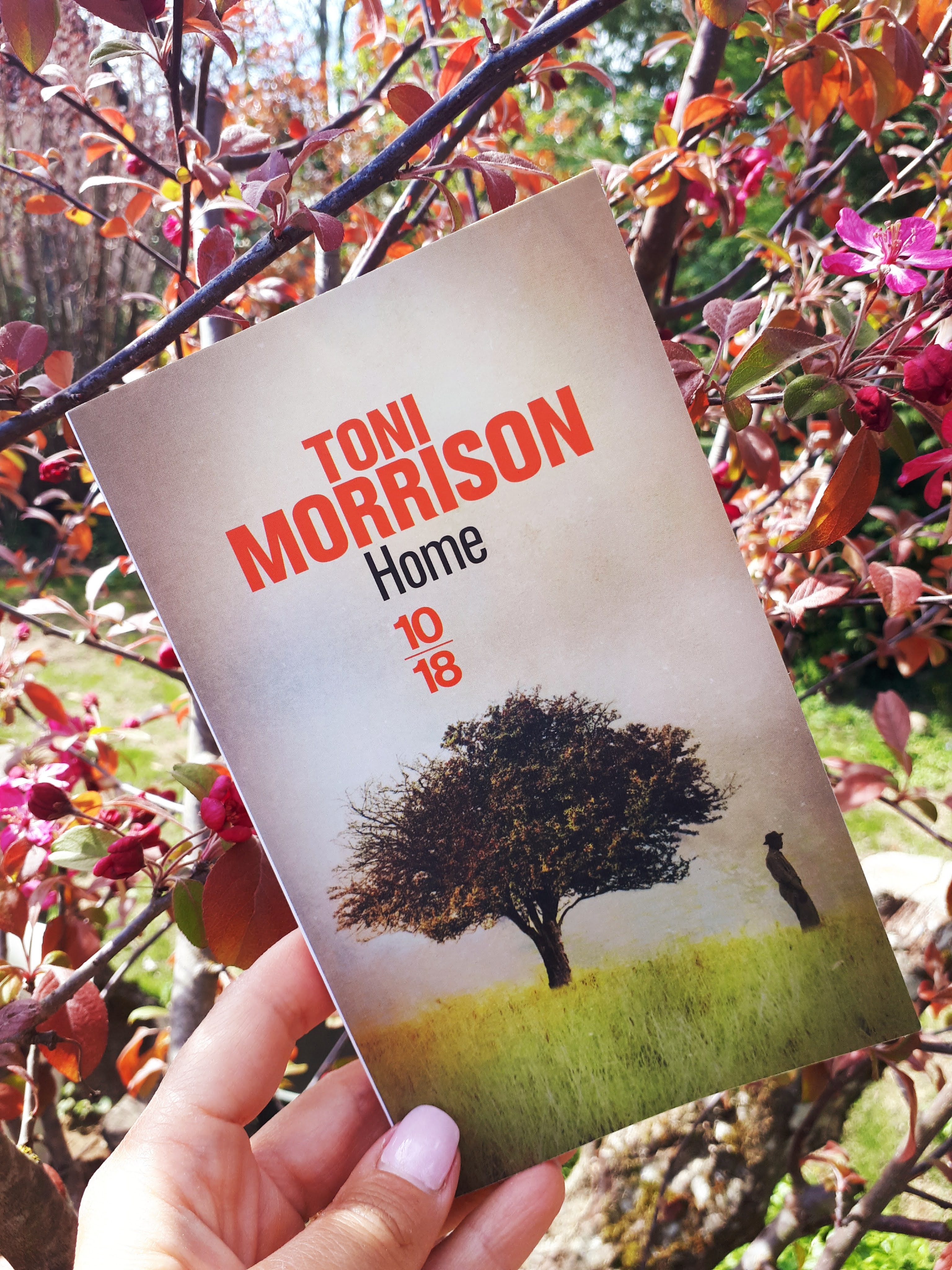 La bibliothèque de Marjorie: Home - Toni Morrison