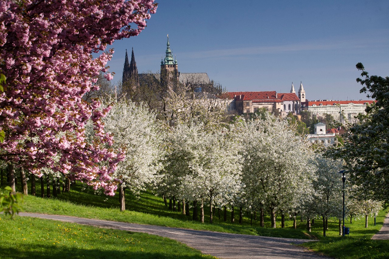 Prague Worldschooling: Spring..or is it summer now in Prague?