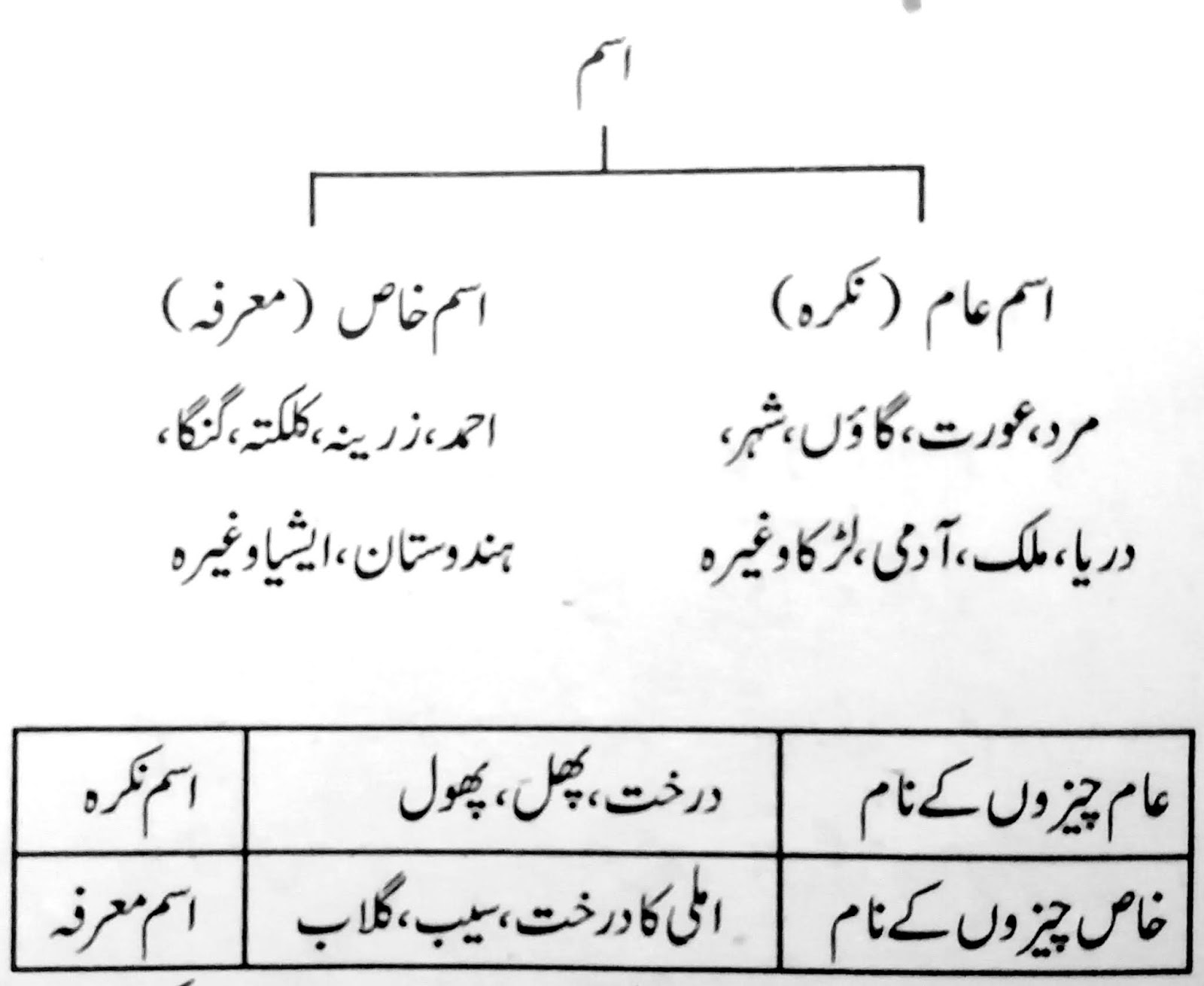 Basic Urdu Grammar For AMU Preparation basic-urdu-grammar-for-amu-preparation