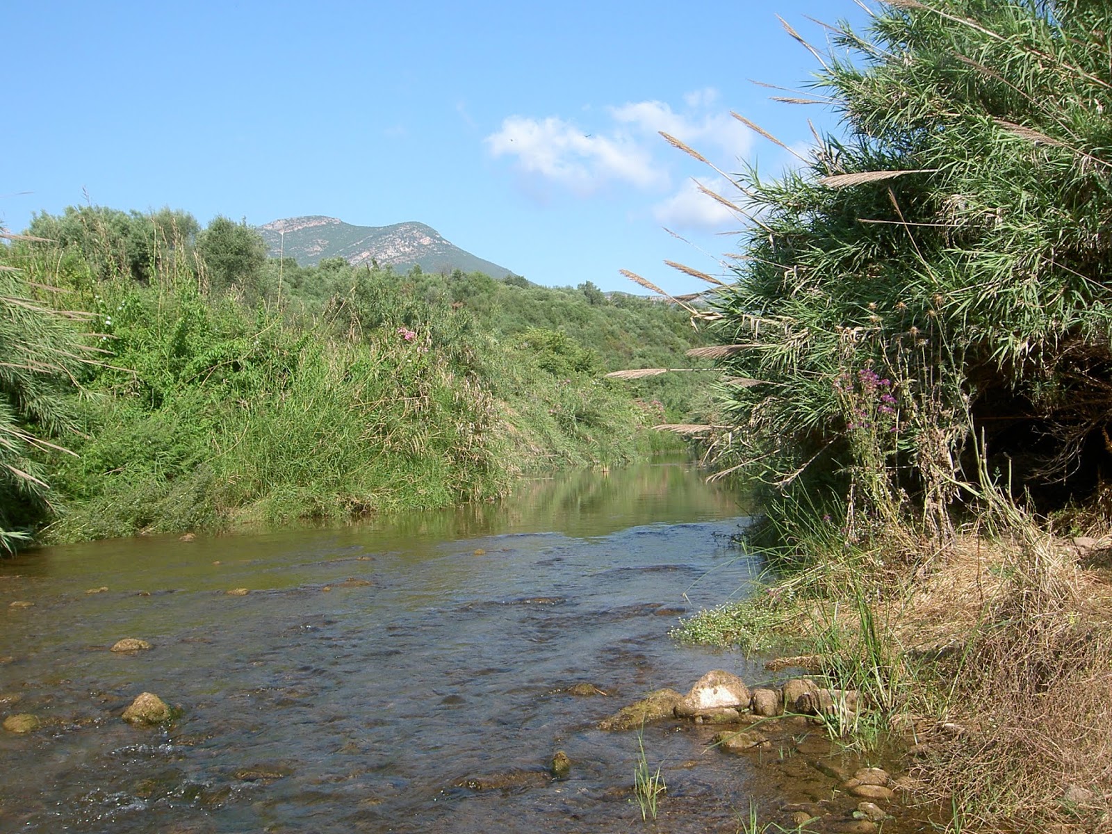 ΓΙΑΝΝΗΣ Δ.ΛΥΡΑΣ: ΤΟ ΠΟΤΑΜΙ ΜΑΥΡΟΖΟΥΜΕΝΑ ΚΑΙ ΟΙ ΛΙΜΝΕΣ ΤΗΣ ΣΤΗΝ ΠΕΡΙΟΧΗ ...