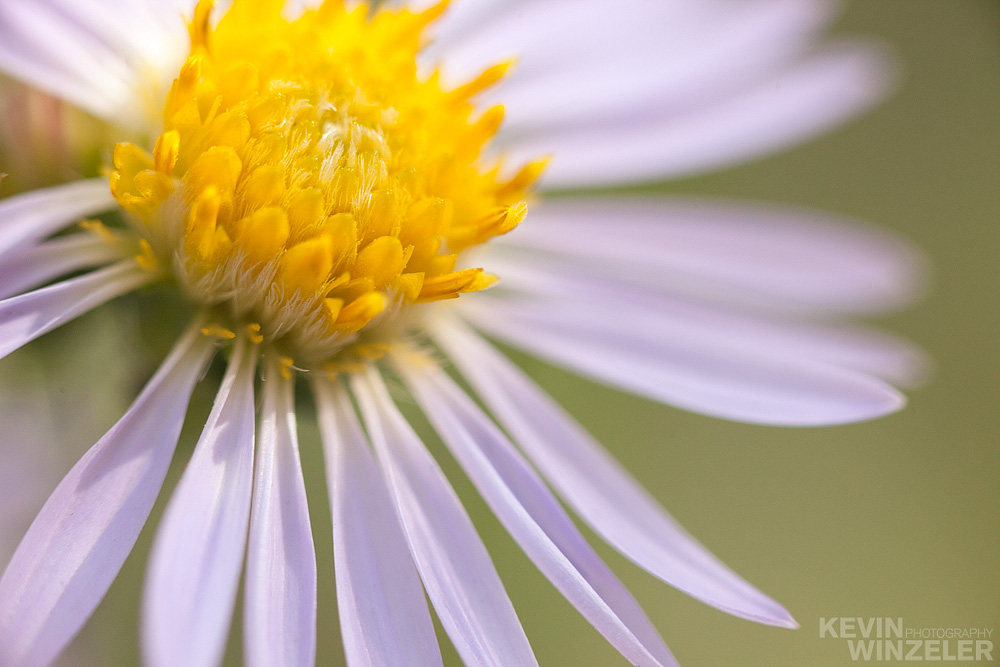 Kevin Winzeler Photography Blog