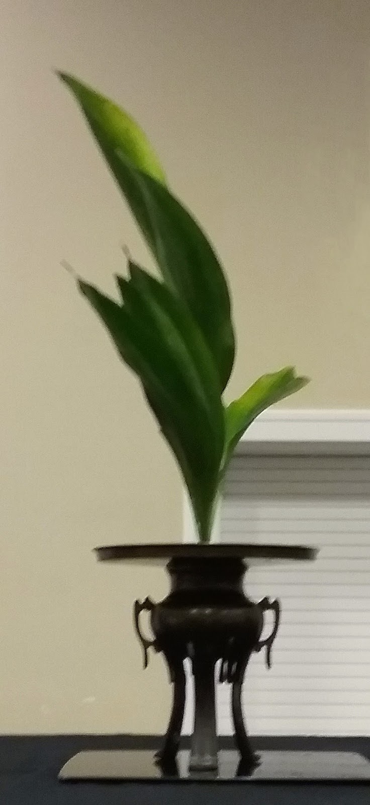 Flowers,Ikebana and I: Leaf Manipulation by Ms Yuri Ishizuka