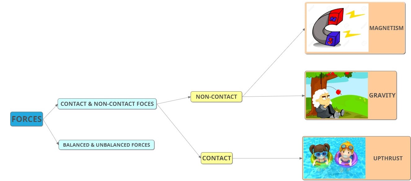 4th GRADERS: Unit 5. NATURAL SCIENCE. FORCES