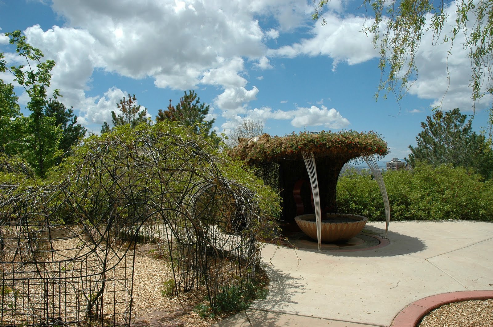 julies blog: Red Butte Gardens