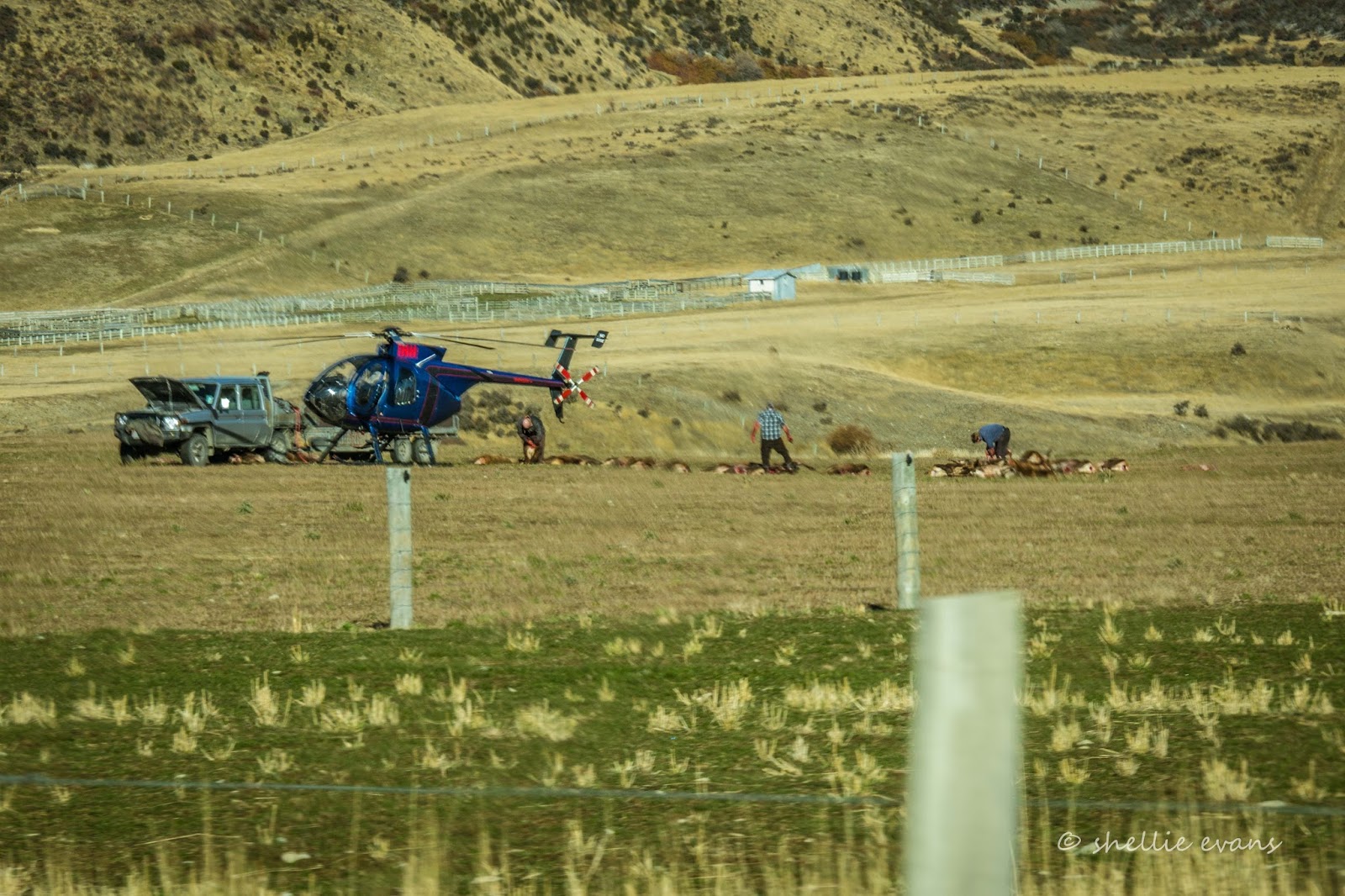 Two Go Tiki Touring: The Remote Ahuriri Valley- Part 2