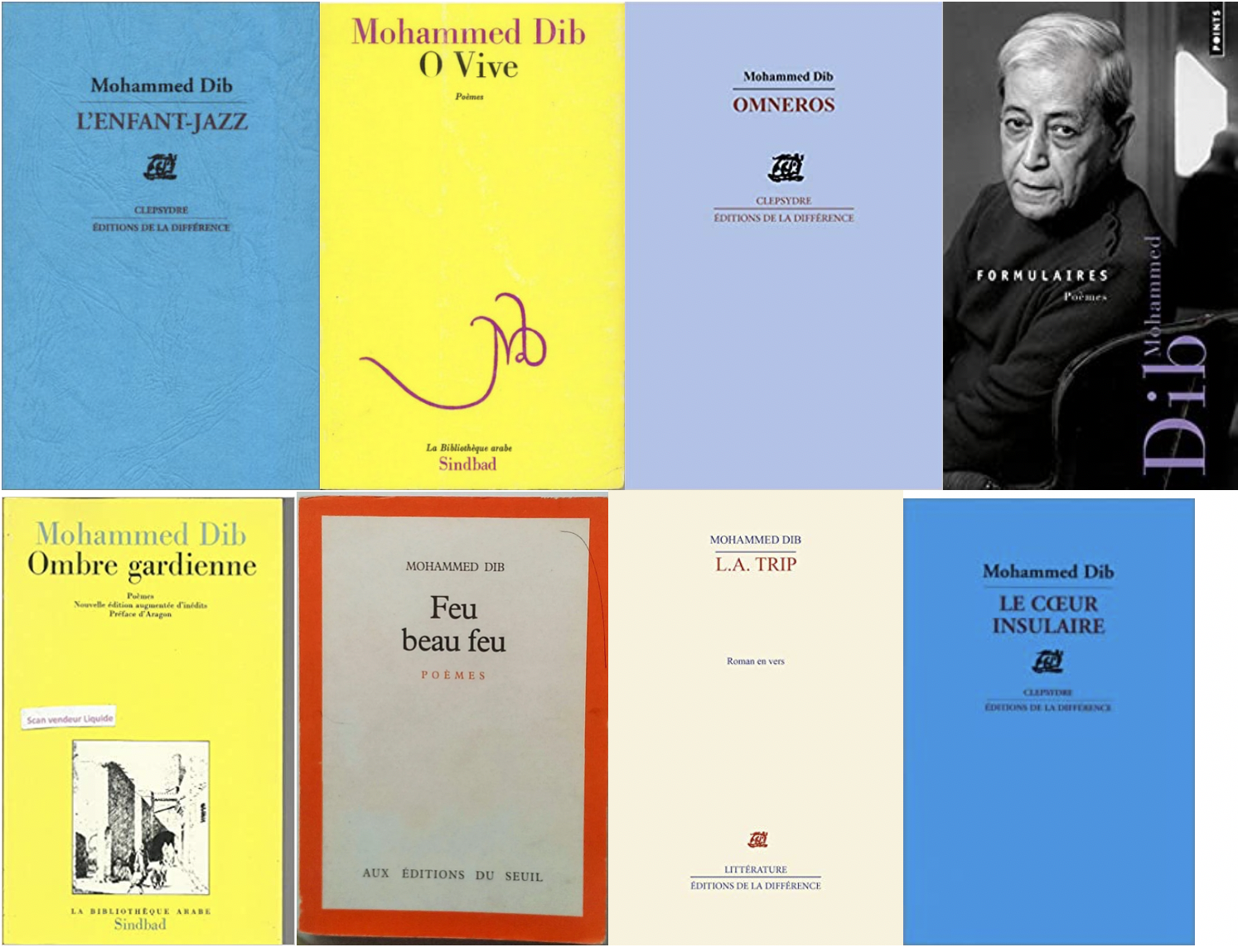Mohammed Dib's Centenary - A tour of the author's work