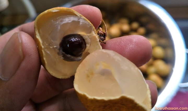 Шейх жестокая сказка читать мари лонган